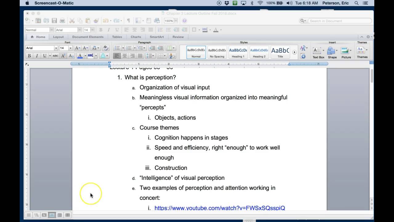 Chapter 3 Visual Perception L1