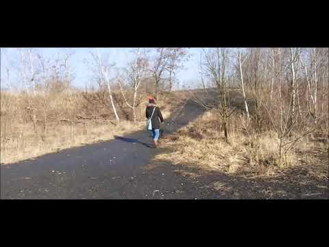 John Smith - Volunteer (Official)