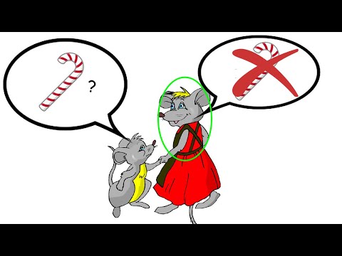 American Sign Language ASL Video Dictionary - nope