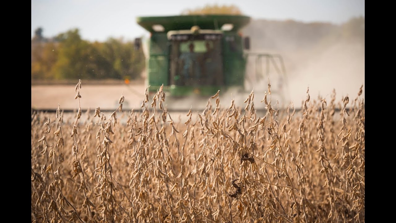 USDA October 2022 Crop Report