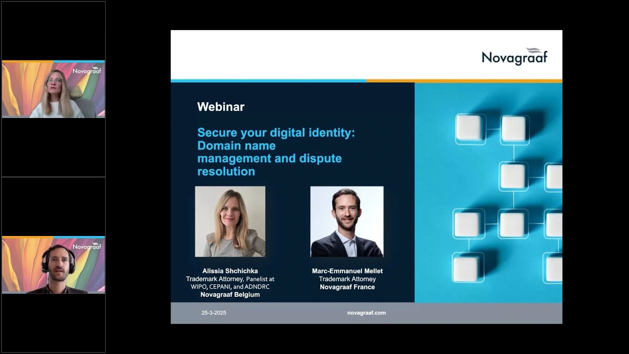 Secure your digital identity: Domain name portfolio management and dispute resolution