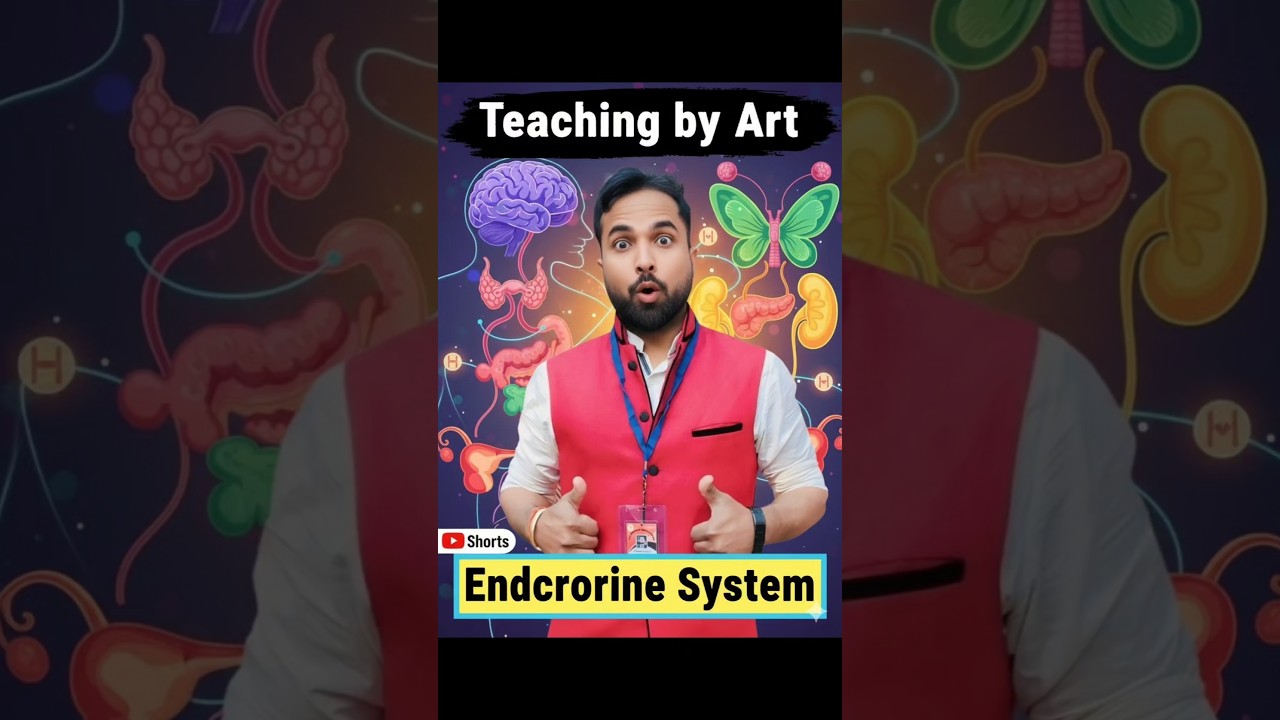 Endocrine glass in one minute s