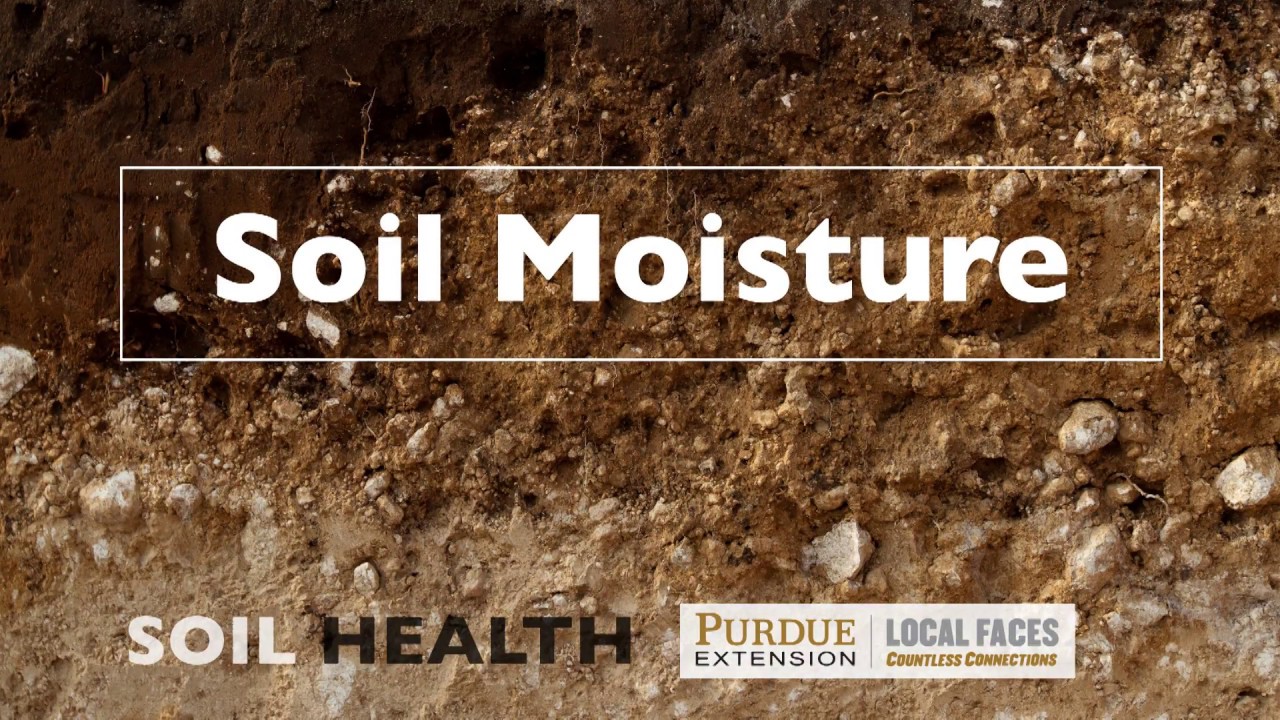 Soil Basics: Soil Moisture
