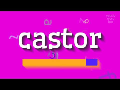 How to say "castor"! (High Quality Voices)