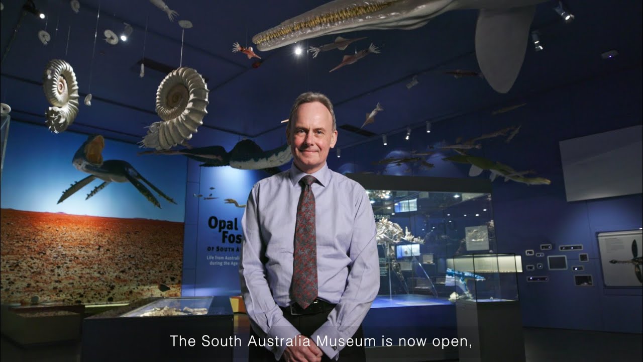 Welcome back to the South Australian Museum
