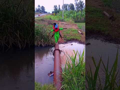 Funny the most trending kasongo yeye video #funnytrynottolaughchallange #funny #subscribe