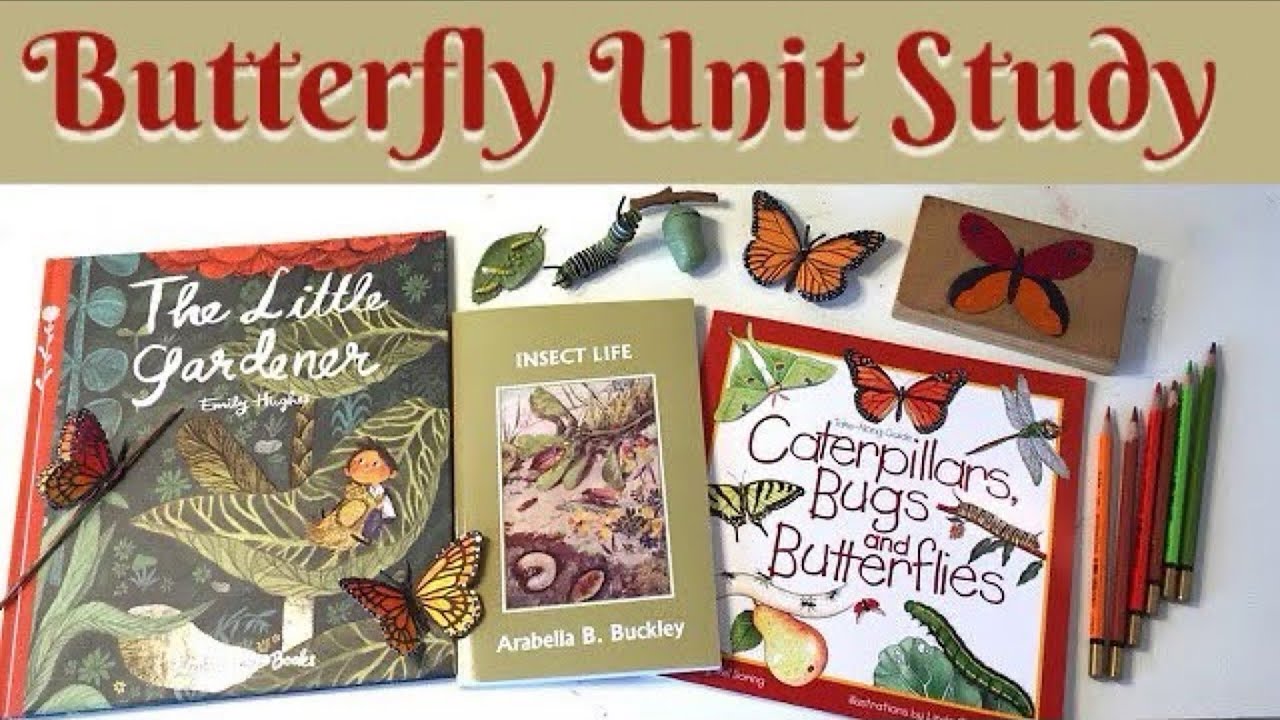 Butterflies and Caterpillars Unit Study | Butterfly Unit Study | Homeschool
