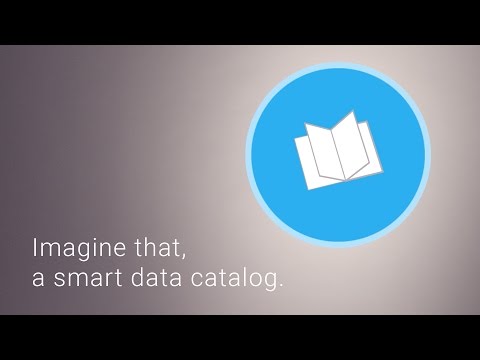 Informatica Enterprise Data Catalog Reviews - 2024