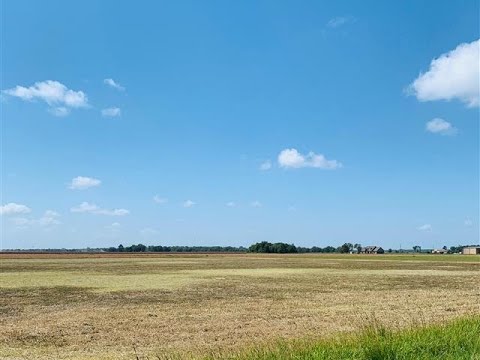 John Rea Realty - 0 DEAN ROAD, Tract 5, Rayville LA