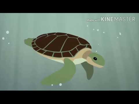 Sea Turtles| 6th std English | Term1 unit1 meaning in Tamil