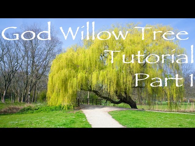 God Willow Tree Tutorial Minecraft Map