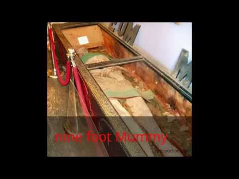 9 foot skeleton Maple Creek Wisconsin - Greater Ancestors