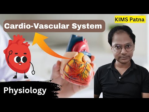 The Human Circulatory System | Easy Learning for Students #Heart #Blood #bloodvessels @kimspatna
