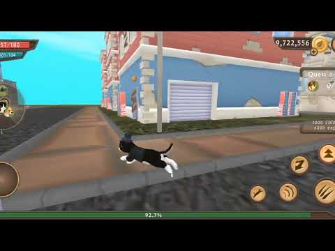 Do not play Cat Sim at 3 AM!