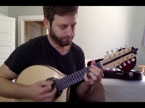 10 String Mandolin - Brazilian Bandolim - Pedros Santos - | Reverb