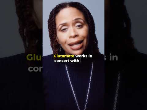 Glutamate & GABA