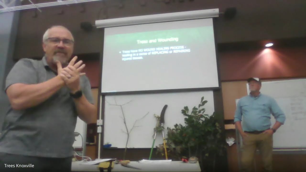 The Art and Science of Tree Pruning