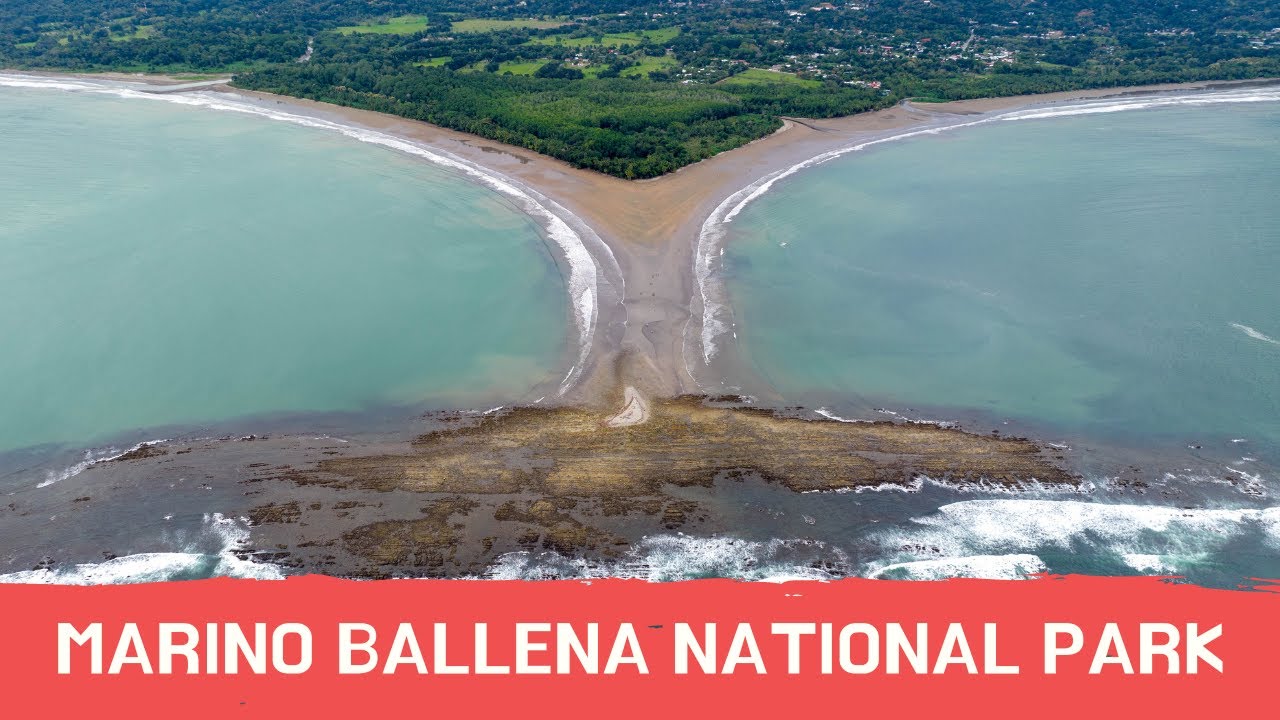 Marino Ballena National Park, Uvita Costa Rica