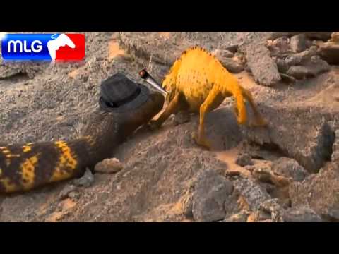 Steam Community :: Video :: MLG SNAKE MONTAGE