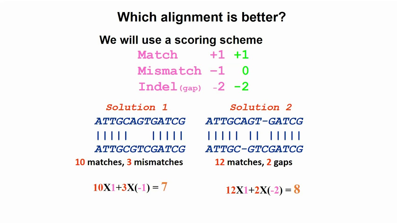 Quantitative Biological Research with Python - Lesson 5, Lecture - Sequence Alignment
