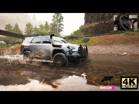 OFF-ROAD Toyota 4RUNNER TRD PRO 2019 | Forza Horizon 5 | Steering Wheel | Logitech G29 Gameplay