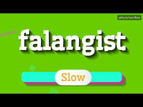 HOW TO PRONOUNCE FALANGIST! [BEST QUALITY VOICES]