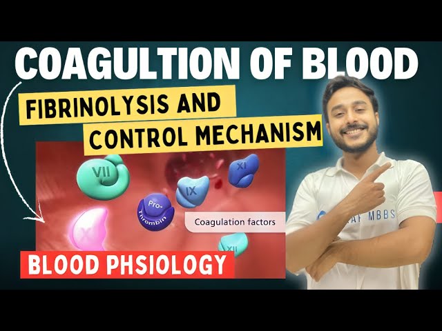 Understanding Blood Coagulation: A Comprehensive Guide | Galaxy