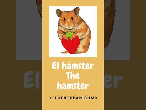 Learn spanish: the pets' names in spanish (basic vocabulary in Spanish)