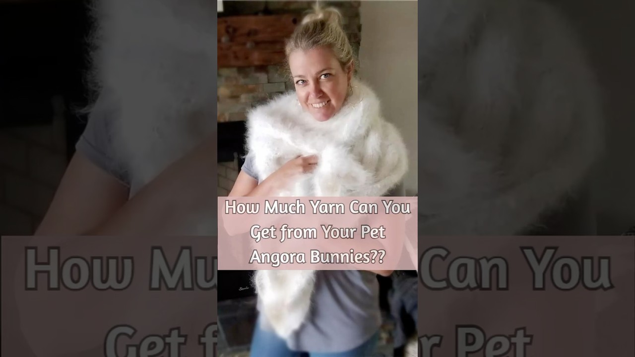 How Much Yarn Can You Really Get from Your Pet Angora Bunny?🐰✨❤️#yarnaddict #farmtofashion #angora