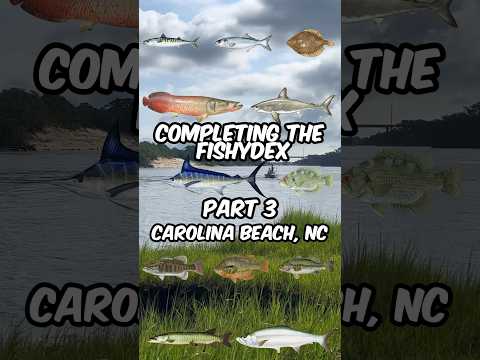 Multi-Species Inshore Fishing in North Carolina: Completing the Fishydex, Part 3, Carolina Beach, NC