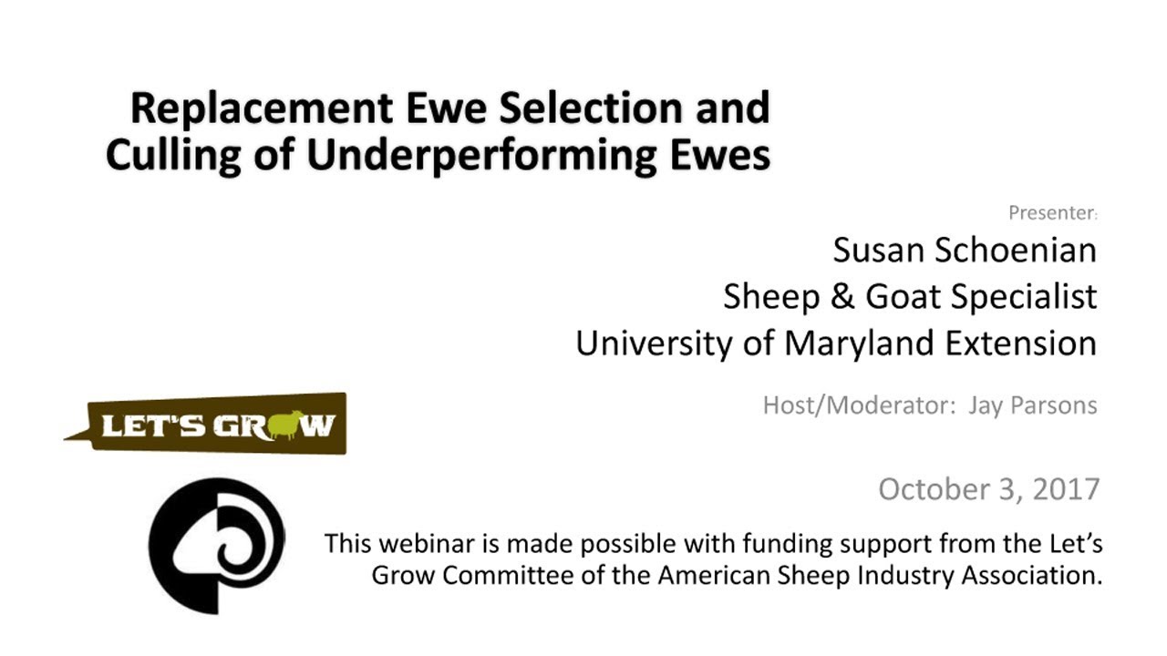 Replacement Ewe Selection and Culling (23)
