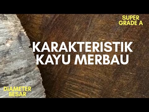 Ciri dan Karakteristik Kayu Merbau Super Dan Grade A I @IndraGunawanST