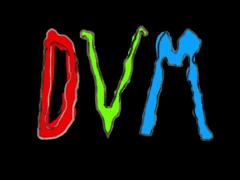 What Does DVM Mean??!!!