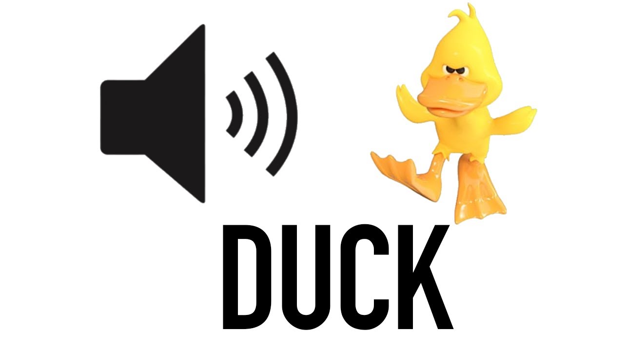 QUACK DUCK Sound Effect ( HD ) Copyright Free