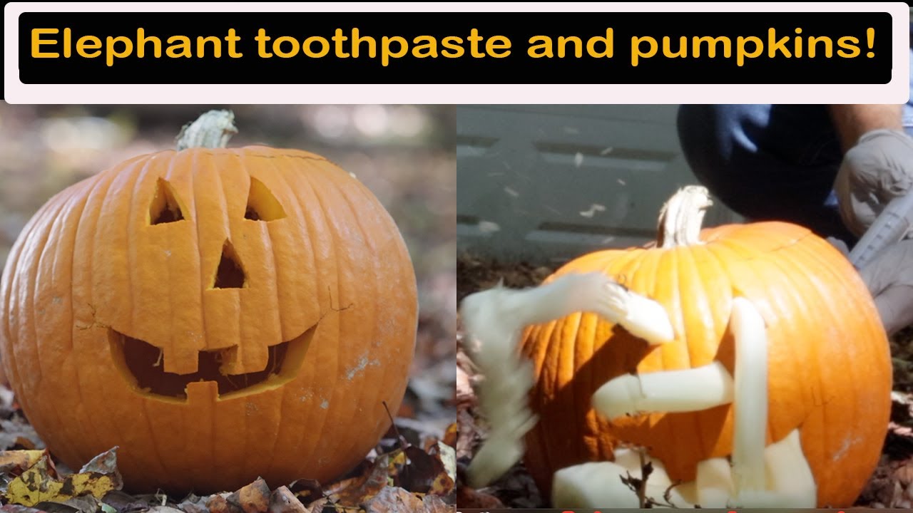 Learning the science of elephant’s toothpaste with 4 different recipes!