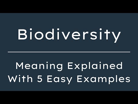 What does Biodiversity mean? Biodiversity Meaning in English With 5 Example Sentences