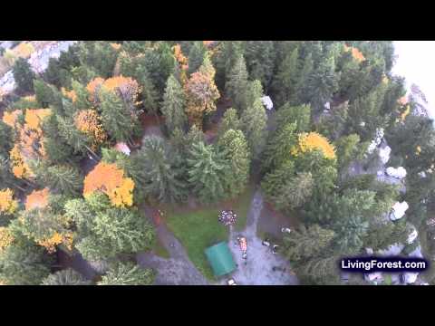 Get Over Living Forest Oceanside Campground & RV Vancouver Island!