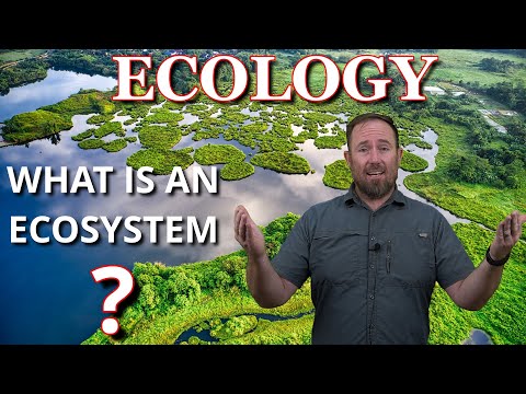 ECOSYSTEMS! COMMUNITIES! POPULATIONS! - Ecology Series Grade 8