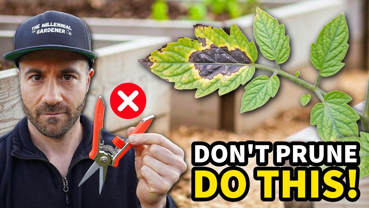 3 Pro Garden Techniques STOP Plant Diseases BEFORE They Start!