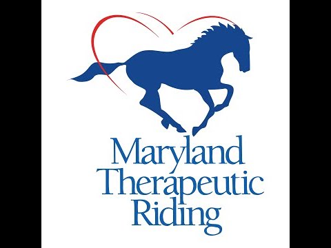 Equine Therapy, horses and mental health