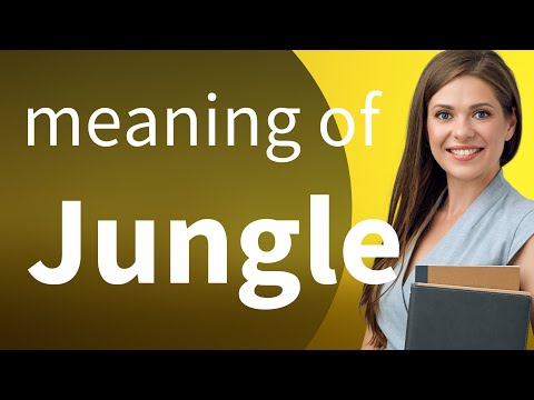 Jungle • definition of JUNGLE