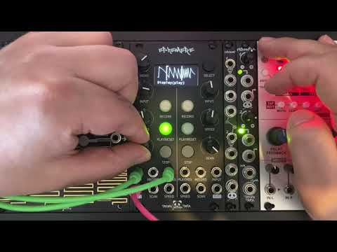 patching panda ephemere - from kit | Reverb