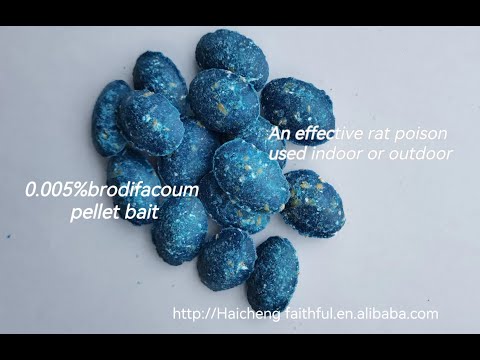 Brodifacoum Pellet Raticide Used in Kitchen of Hotel