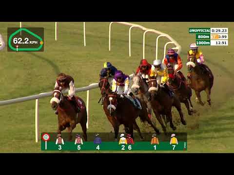 HRC Races 17th Feb 2025 Race 7