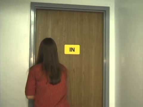 Signs and Words - In