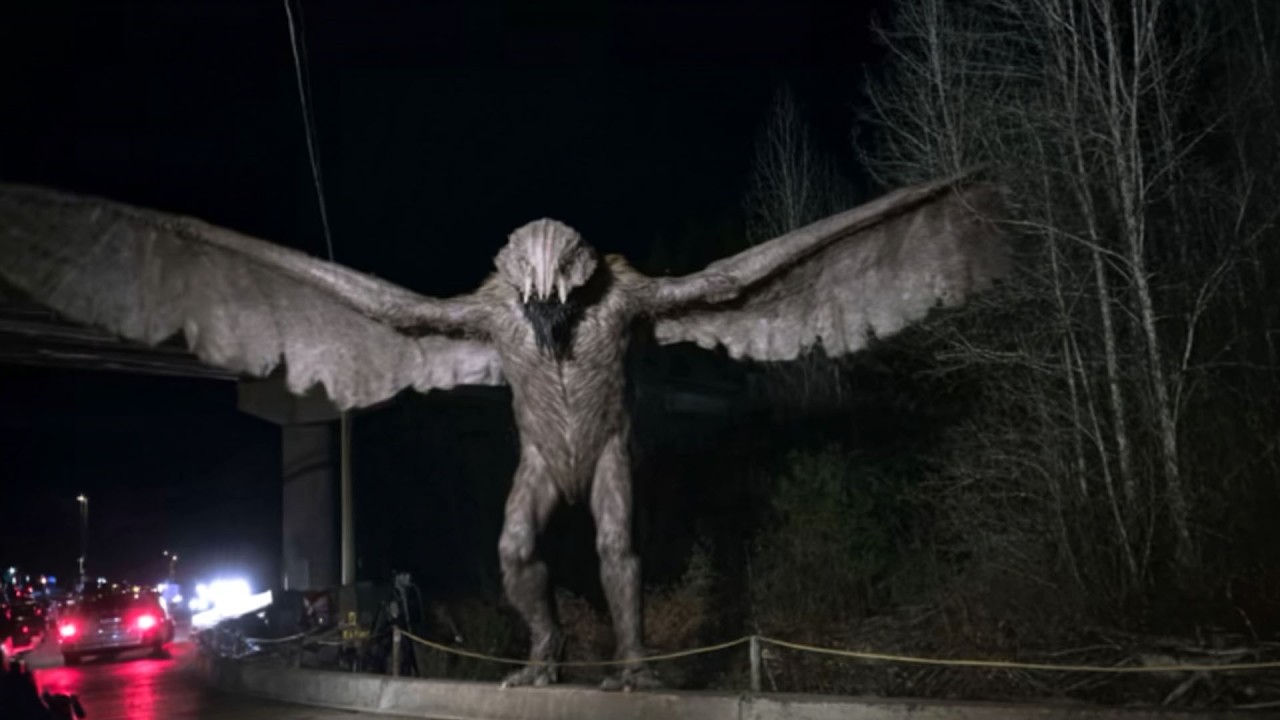 Real Mothman Sightings That Left People Terrified