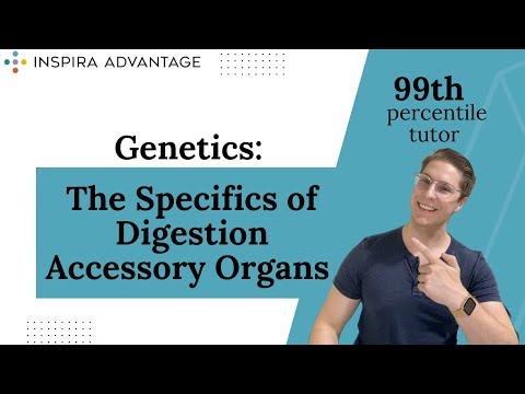 Genetics: All About The Specifics of Digestion Accessory Organs | MCAT Crash Course