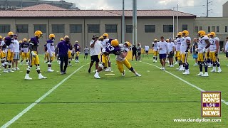 Media Gallery by Dandy Don - LSUU Sports & More