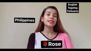 Aprende Filipino (tagalo) con Rosida Ordonez - Tu tutor de Filipino ...