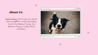 3 Best Dog Trainers in Oxford, UK - Expert Recommendations